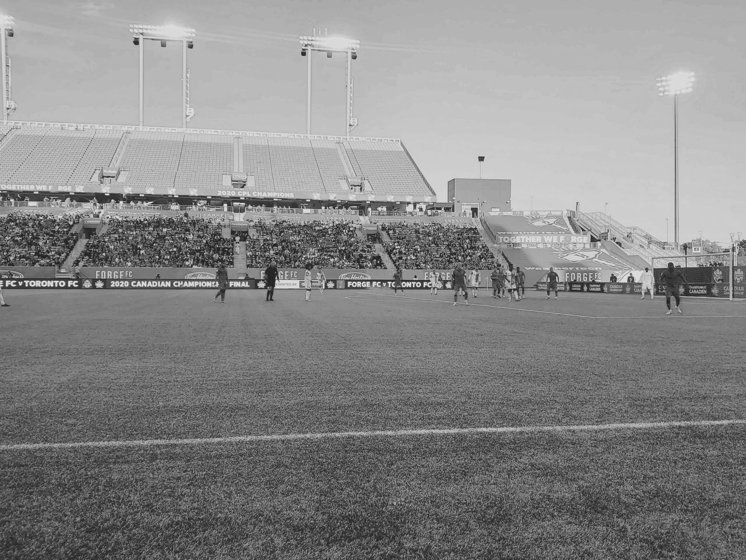 Dr. Saif Shamshoon - Home