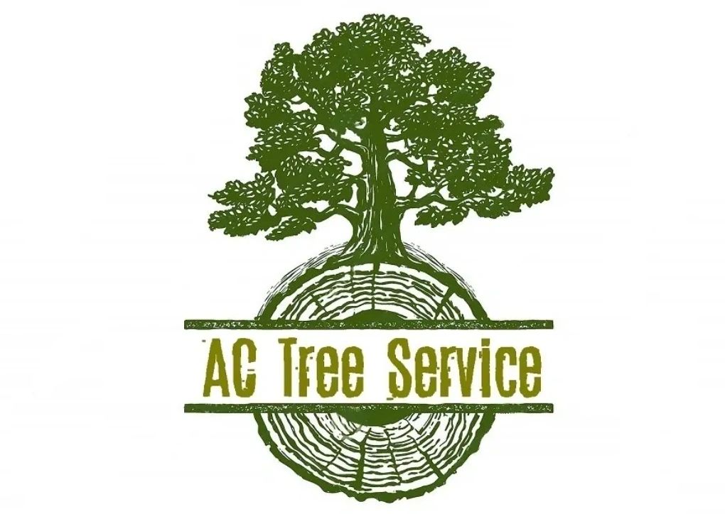 AC Tree Service - Tree Removal Service, Stump Grinder, Arborist