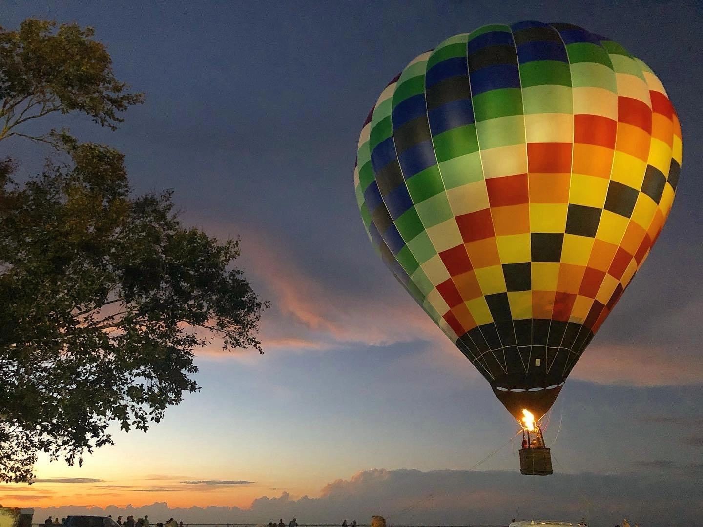 Delta Breeze Hot Air Balloon Adventures