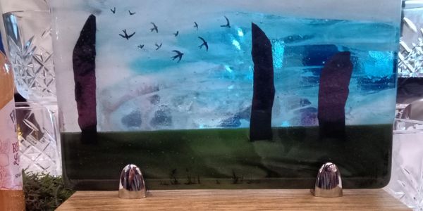 Skaill House Falconry - Bird of Prey, Falconry Display, Falconry