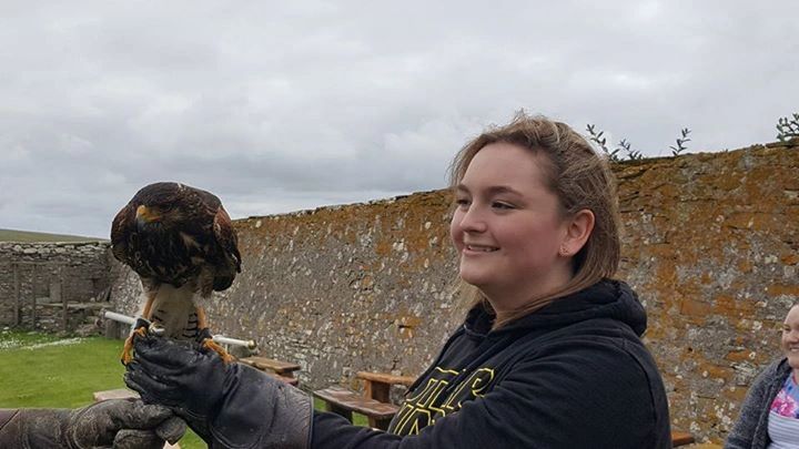 Skaill House Falconry - Bird of Prey, Falconry Display, Falconry