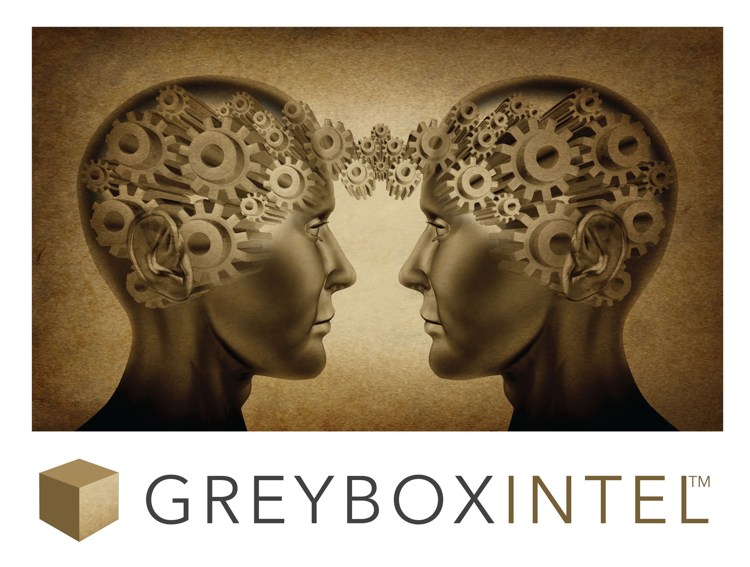 GreyBox Intel - Market Due Diligence, Customer Due Diligence