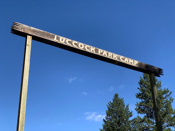 Luccock Park Camp - Home