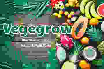 Cebu Agbio Innovations Inc. - Vegegrow, Biostimulant