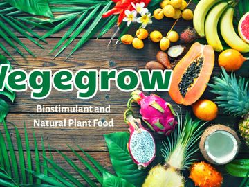 Cebu Agbio Innovations Inc. - Vegegrow, Biostimulant