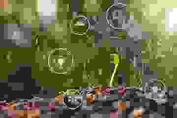 Cebu Agbio Innovations Inc. - Vegegrow, Biostimulant