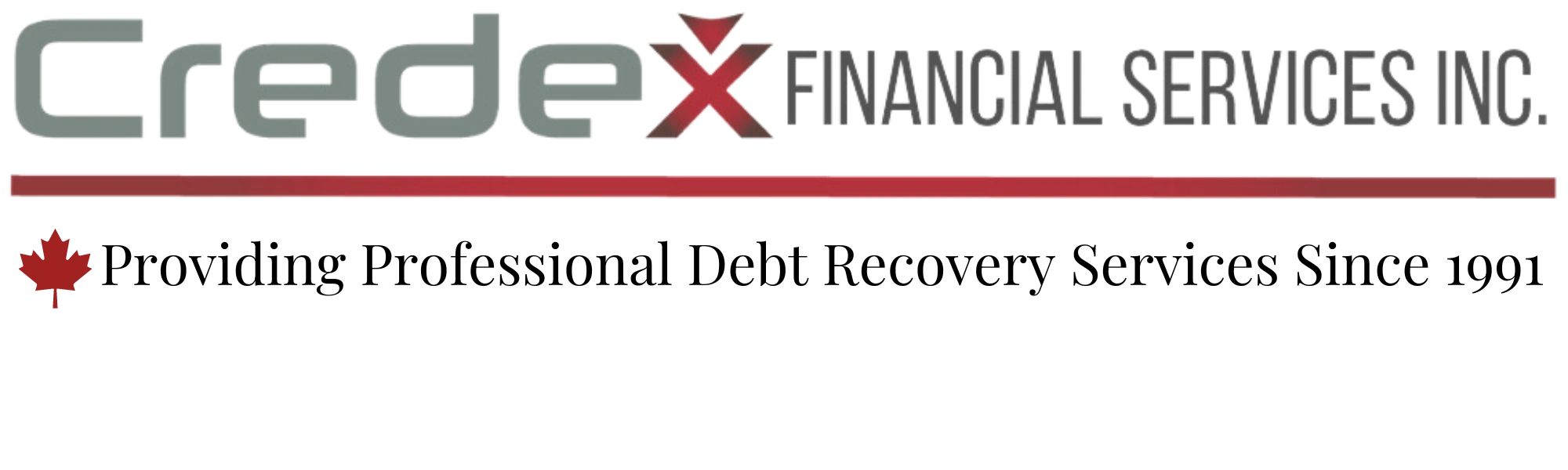 Professional Debt Recovery Services | Credex Financial Services Inc.