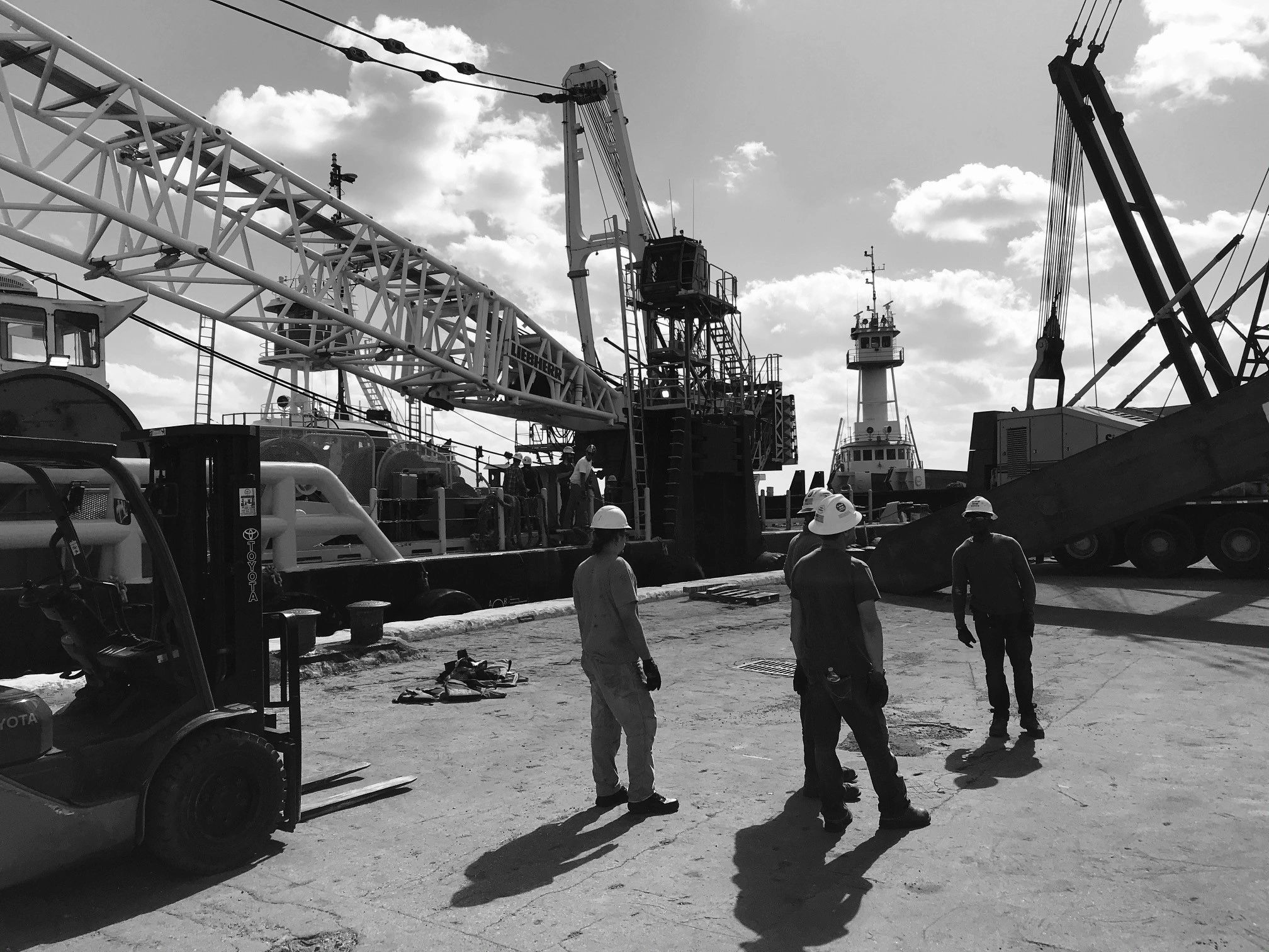 Stevedore & Terminal Ops