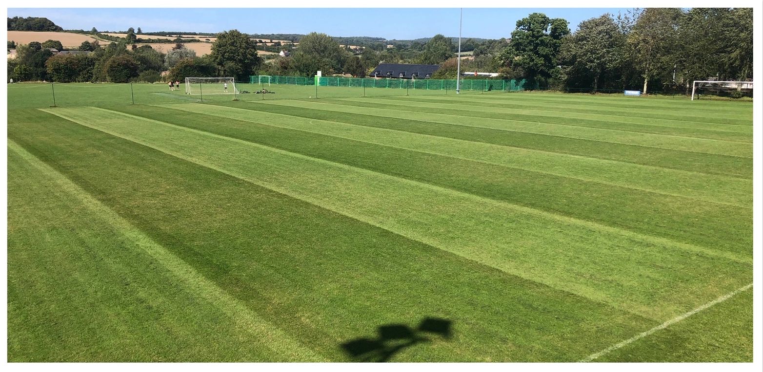 News | Alresford Town F.C.