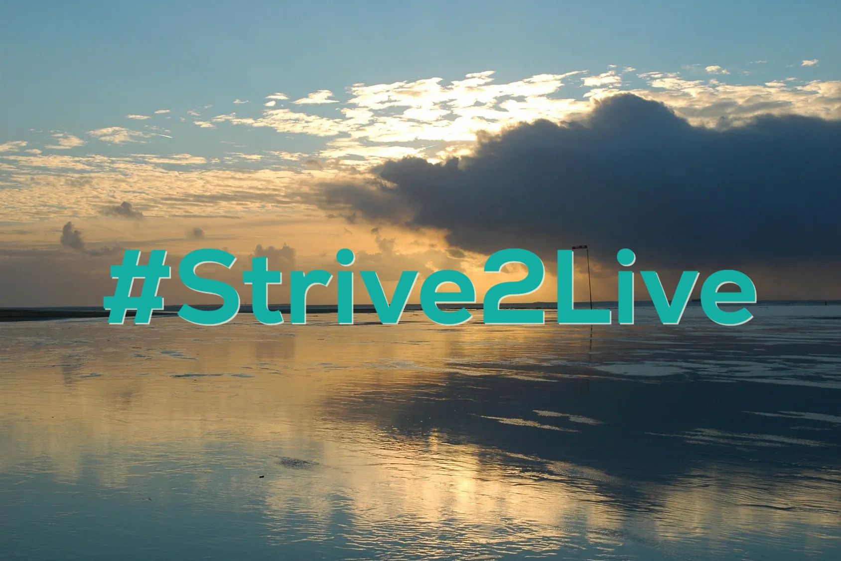 Strive2live