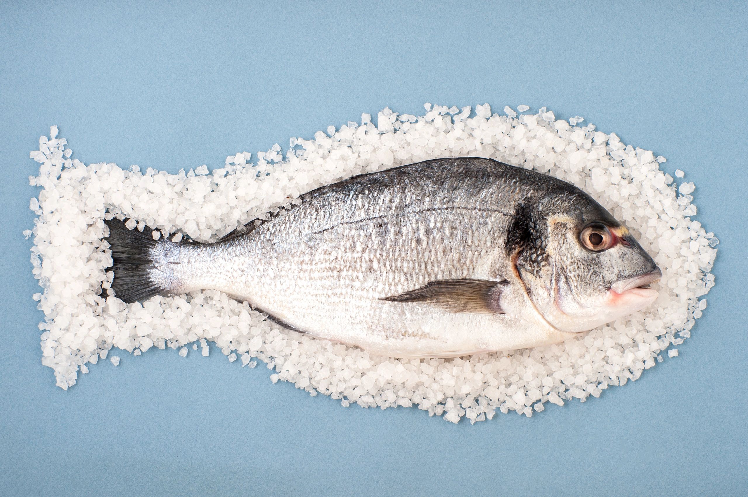 Kellari Taverna - Greek Restaurant, Seafood