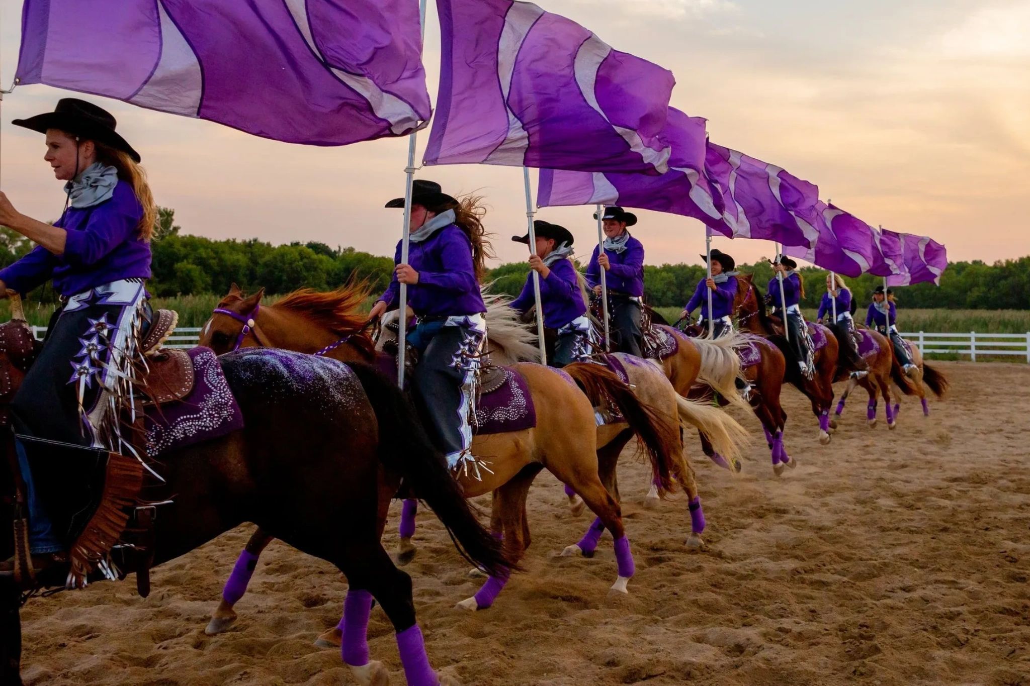 MidWest Renegades L.L.C. - Equestrian Drill Team, Horses
