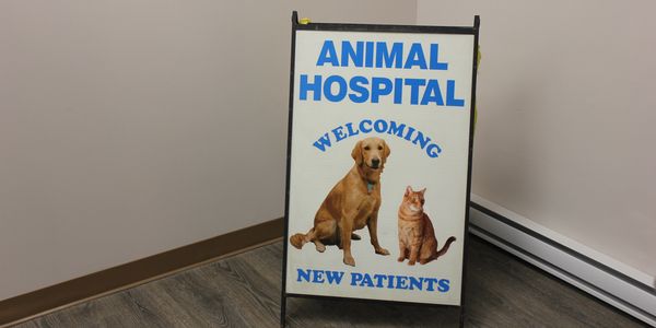 Hamilton Veterinary Services