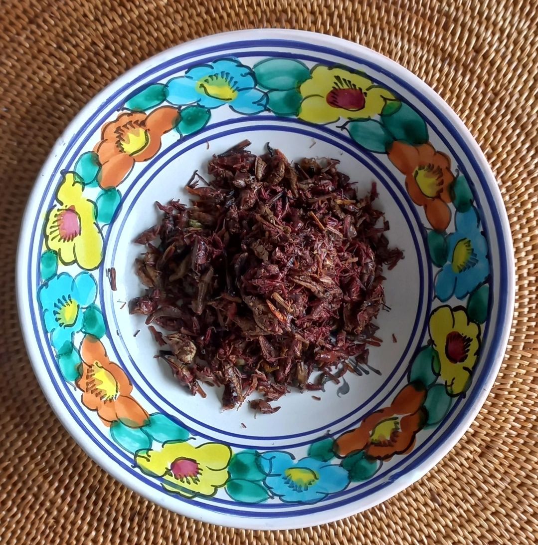 Chapulines por solo $31 pesos / mes :)