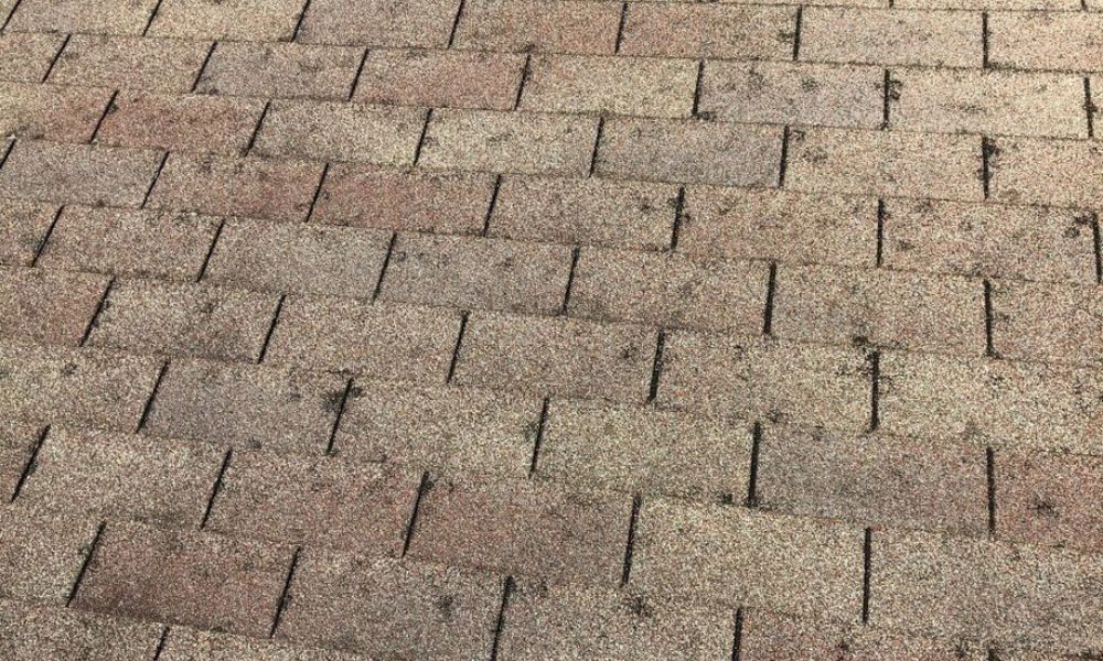 Top 5 Common Causes of Roof Damage To Know About