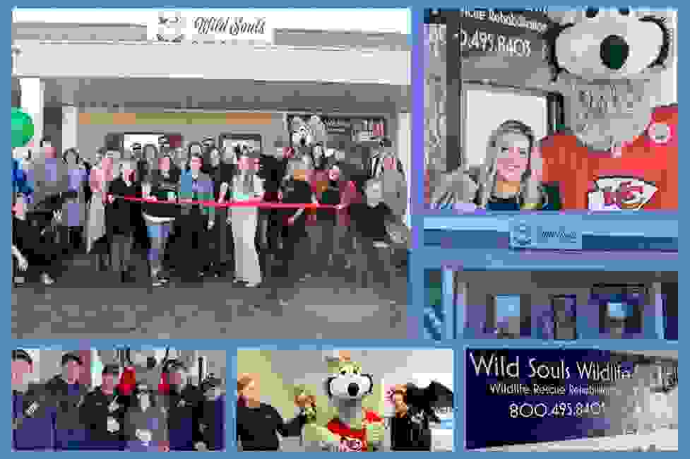 Wild Souls Wildlife Rescue and Release