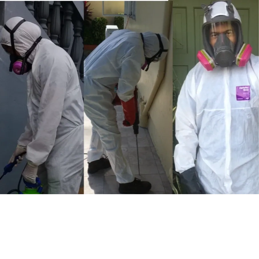 The Exterminators Pest Control (1996) Co. Ltd. - Home