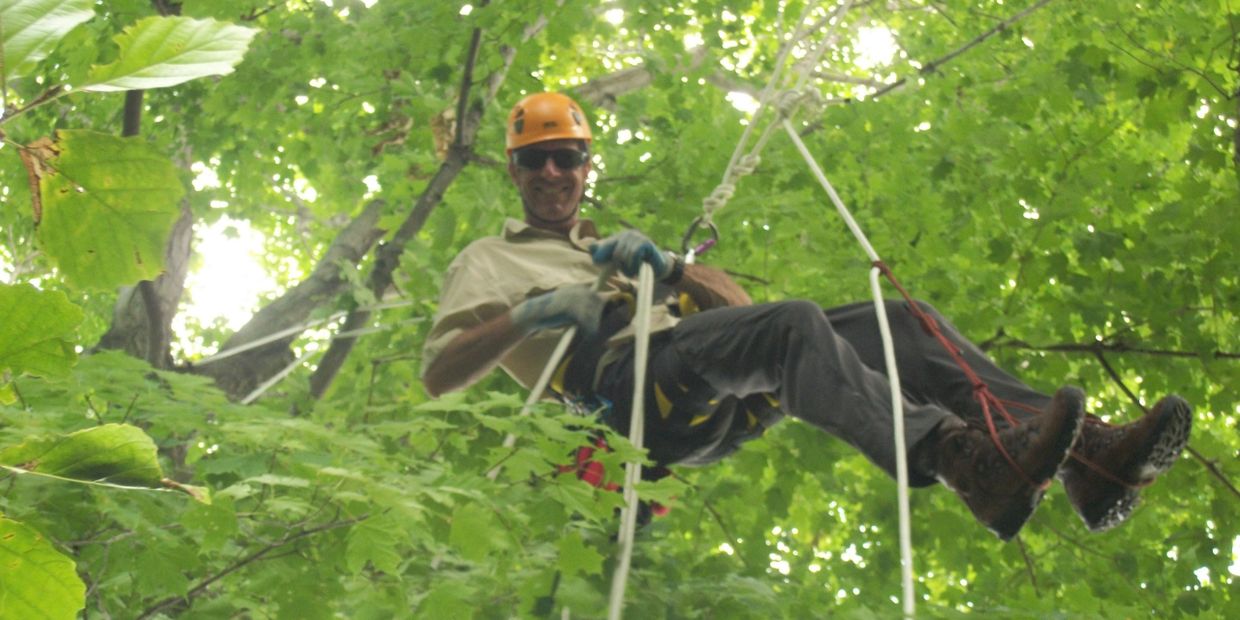 Courses | TREE CLIMBING CANADA