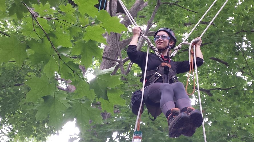 Tree Climbing - TREE CLIMBING CANADA