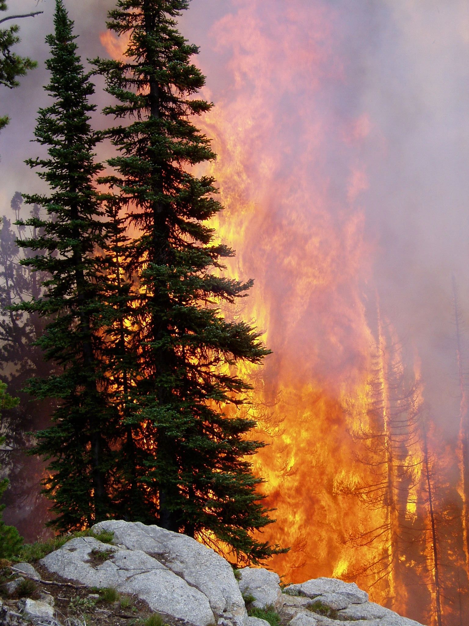 Fire Behavior Analyst