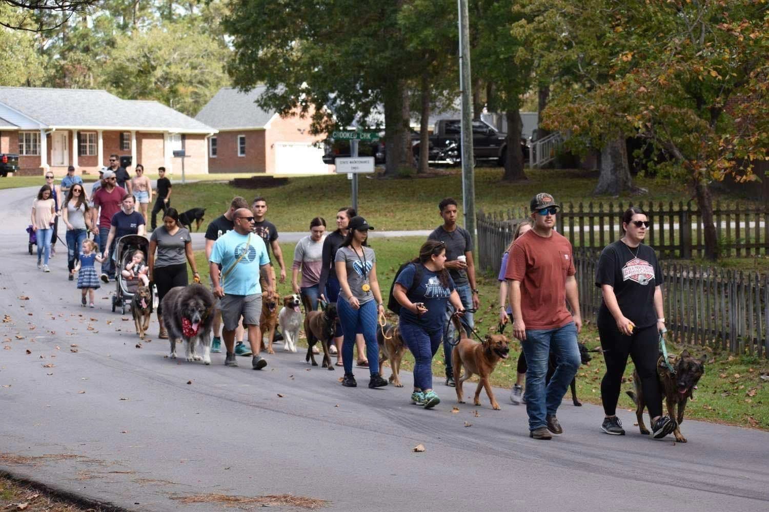 Professional Dog Training Services | Expert Dog Trainer