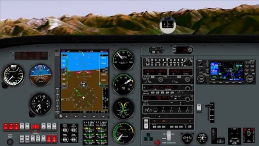 Toms Flight Sim ( Los Angeles )