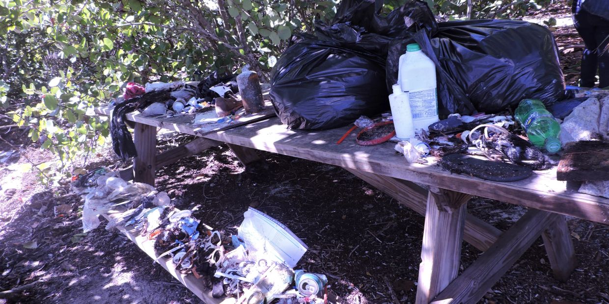 Environment - ECO (Environmental Conservation Organization)