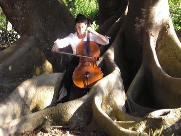 Romanza Strings | Romanza Strings