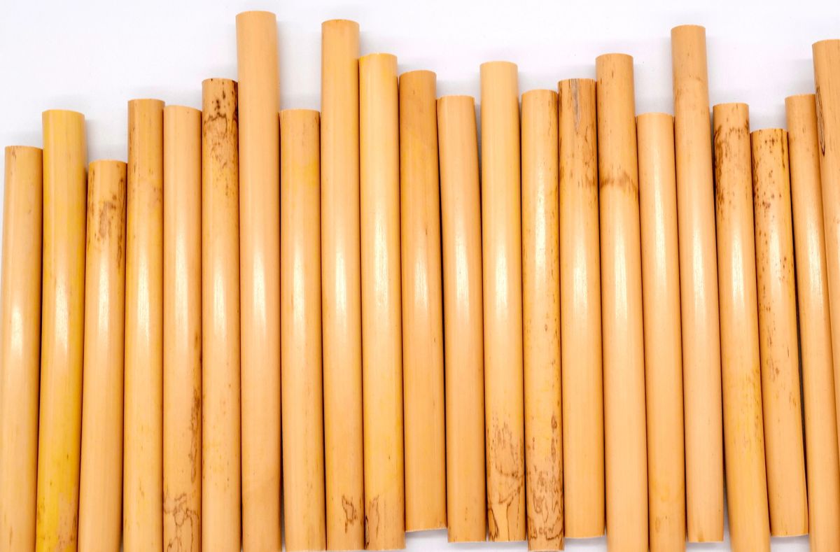 Premium Oboe Tube Cane