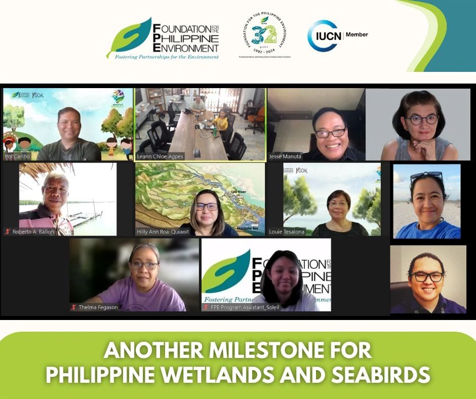 Satellite Telemetry of Seabirds: A Leap Forward in Conservation
