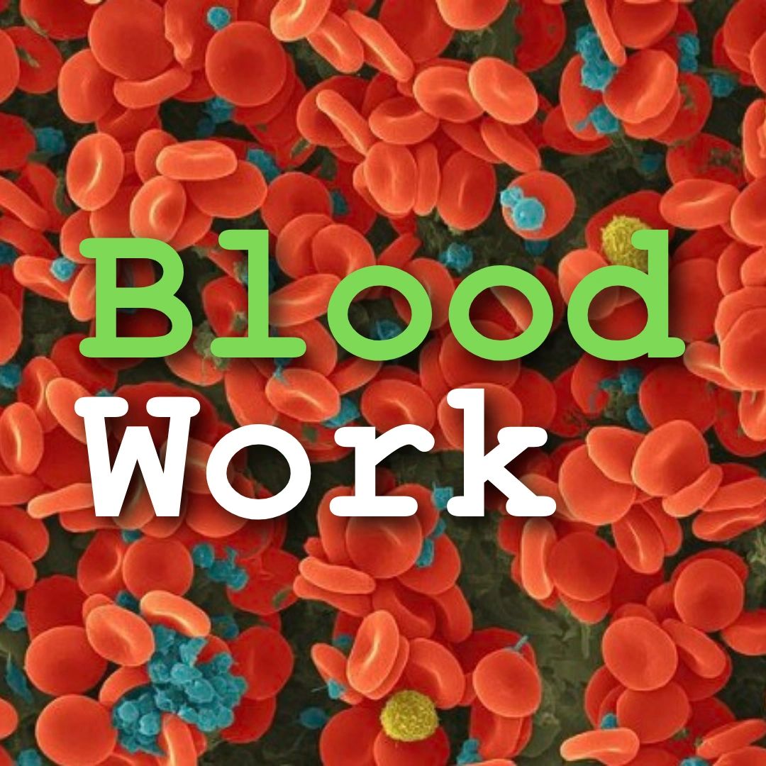 Important Blood Work to Request (and Tests Often Missed)