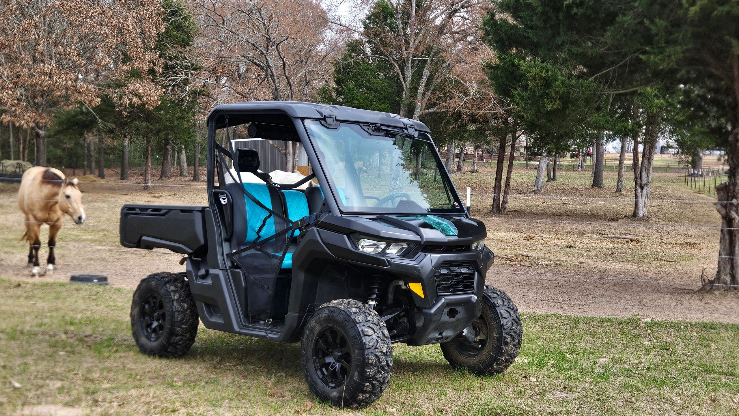 Outlawz Custom Carts