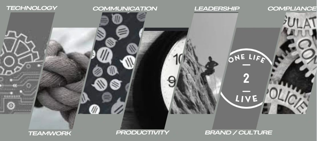 Career Consultant Services | The One Life 2 Live