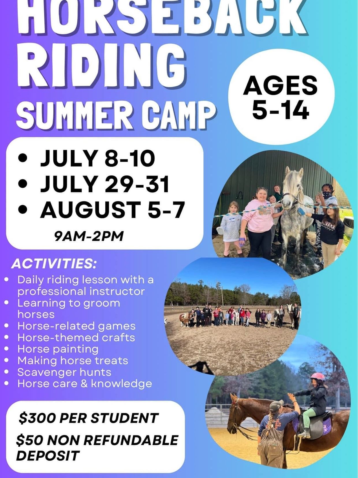 Summer Camps! | Feather Ridge Equestrian