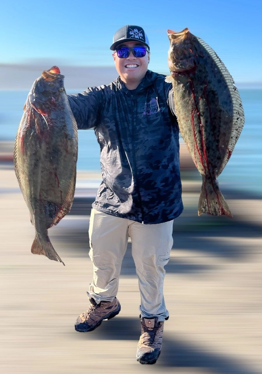 Where are the Halibut now?