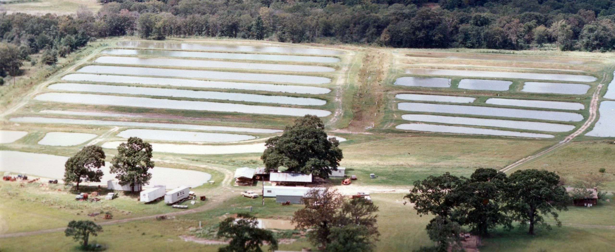 Pickup - Live Fish Market