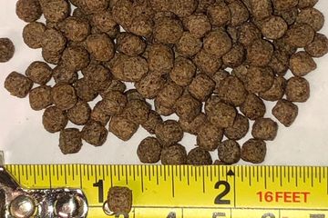 Cargill Premium Fish Feed | Overton Fisheries, Inc.