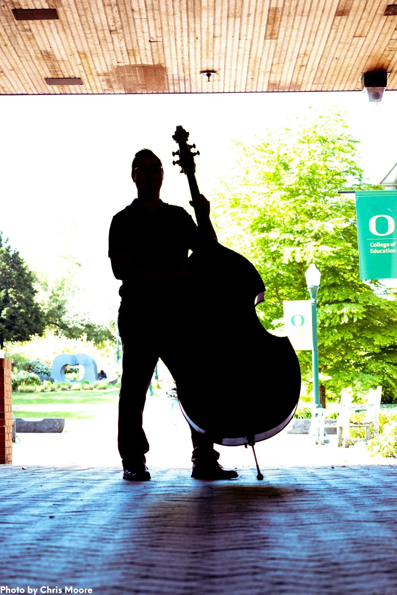 Josef Ward - Musician, Bass Guitar, Double Bass