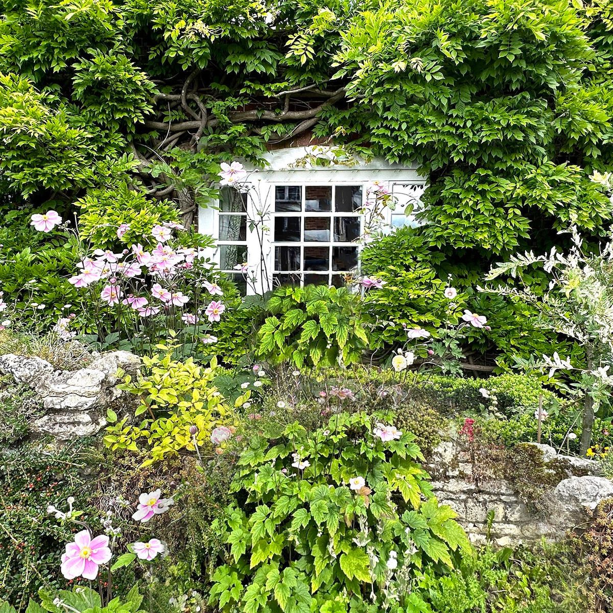 English Cottage Garden Window with Shrubbery & Flowers on Stone Wall ...
