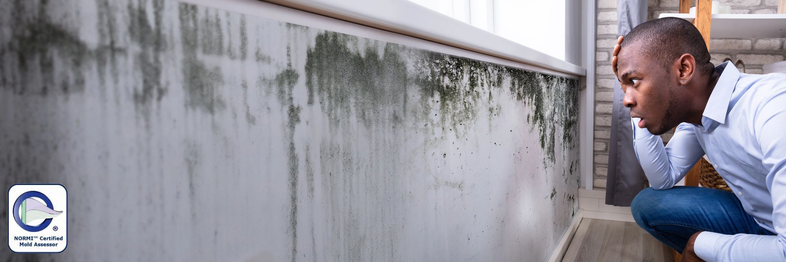 Expert Mold Testing Services