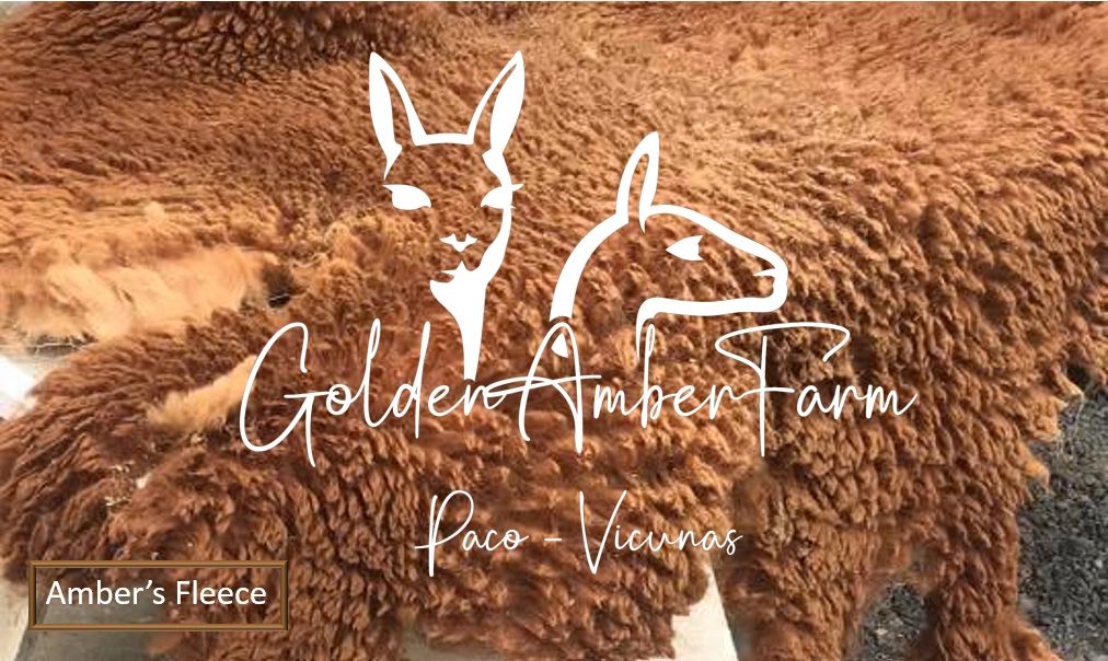 Luxurious Vicuna Fiber Products - Golden Amber Farm