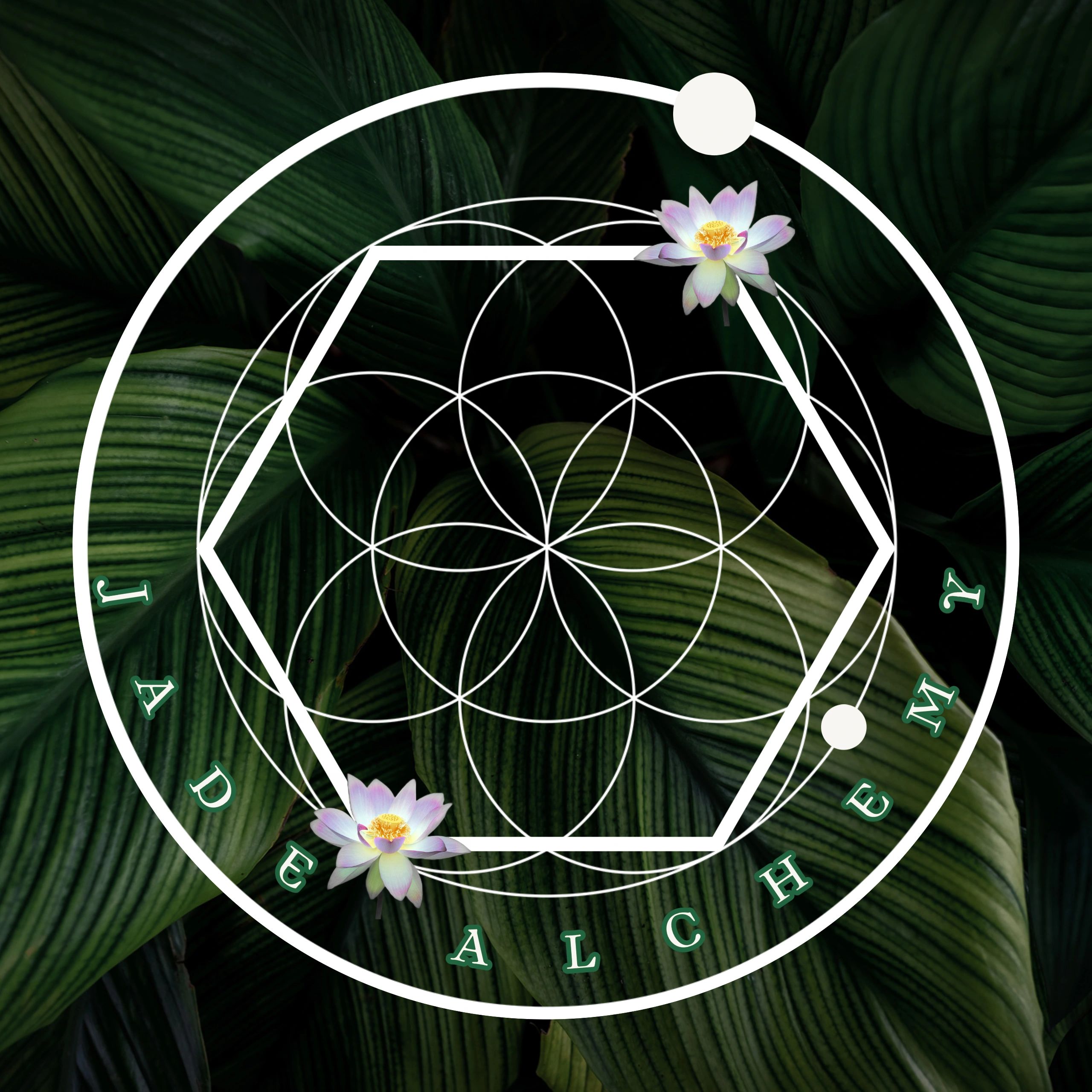 Jade Alchemy