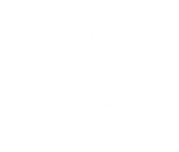 telewellness.solutions