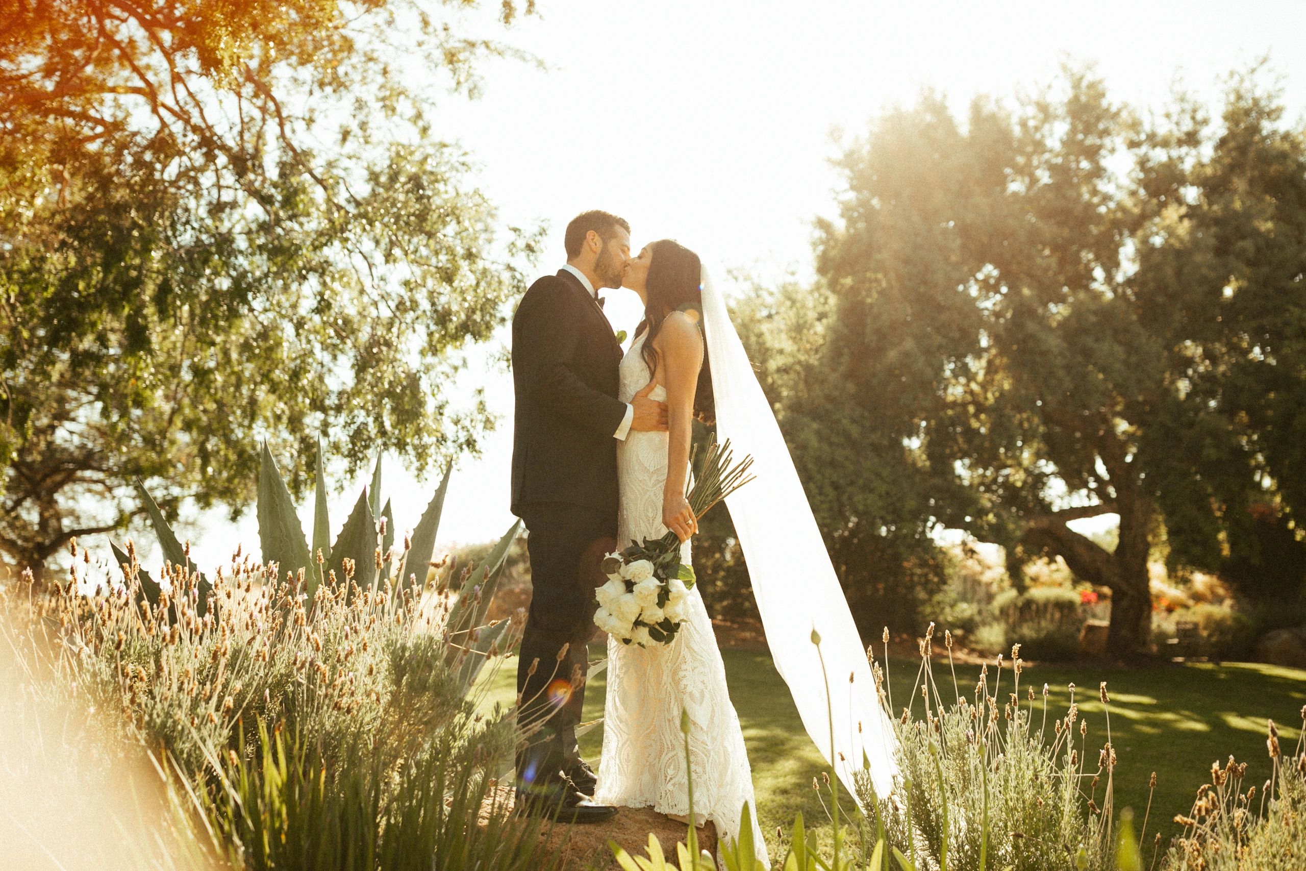 WEDDING PACKAGES