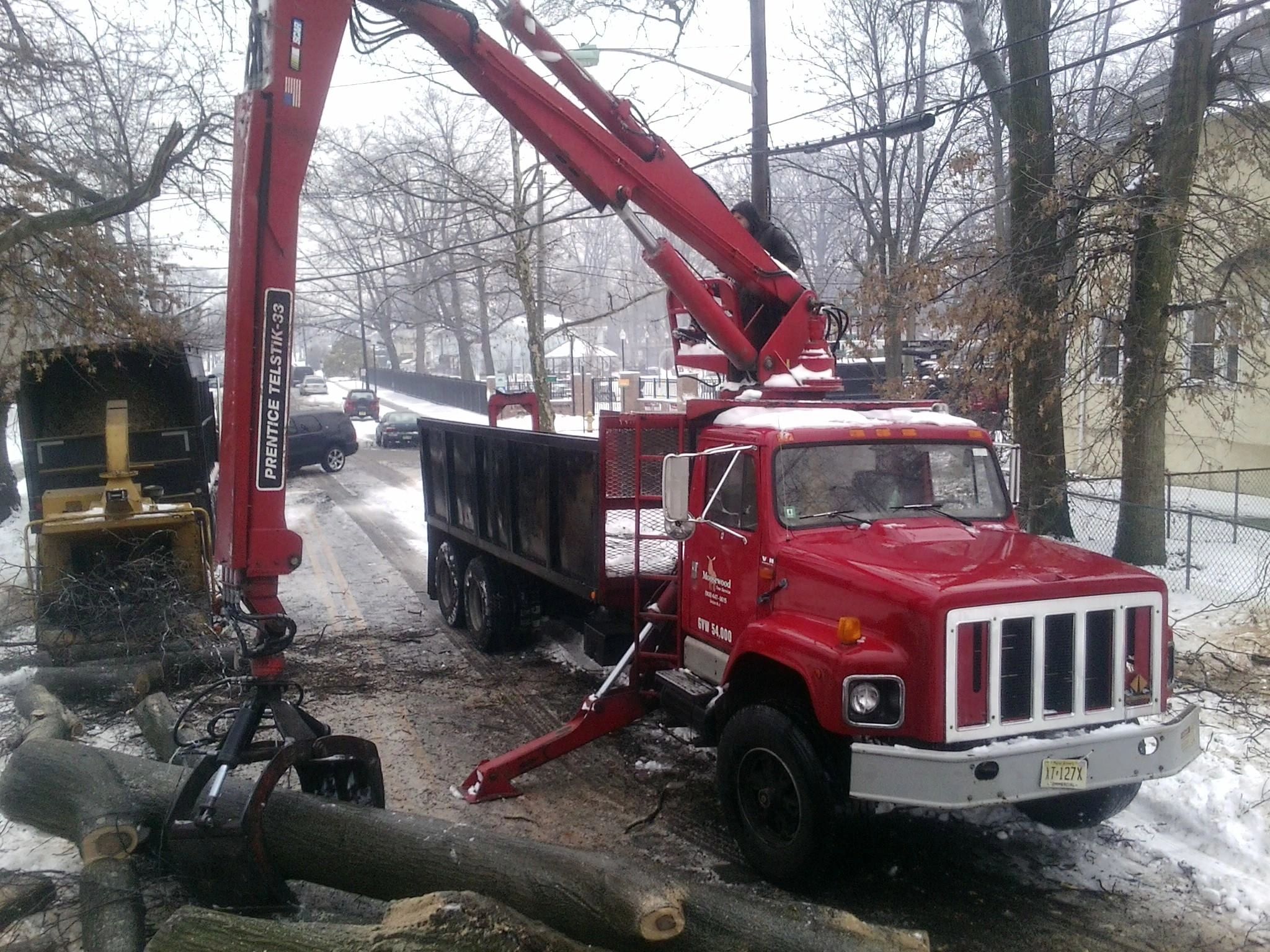 Tree Removal and Tree Trimming - Moosewood Tree Service