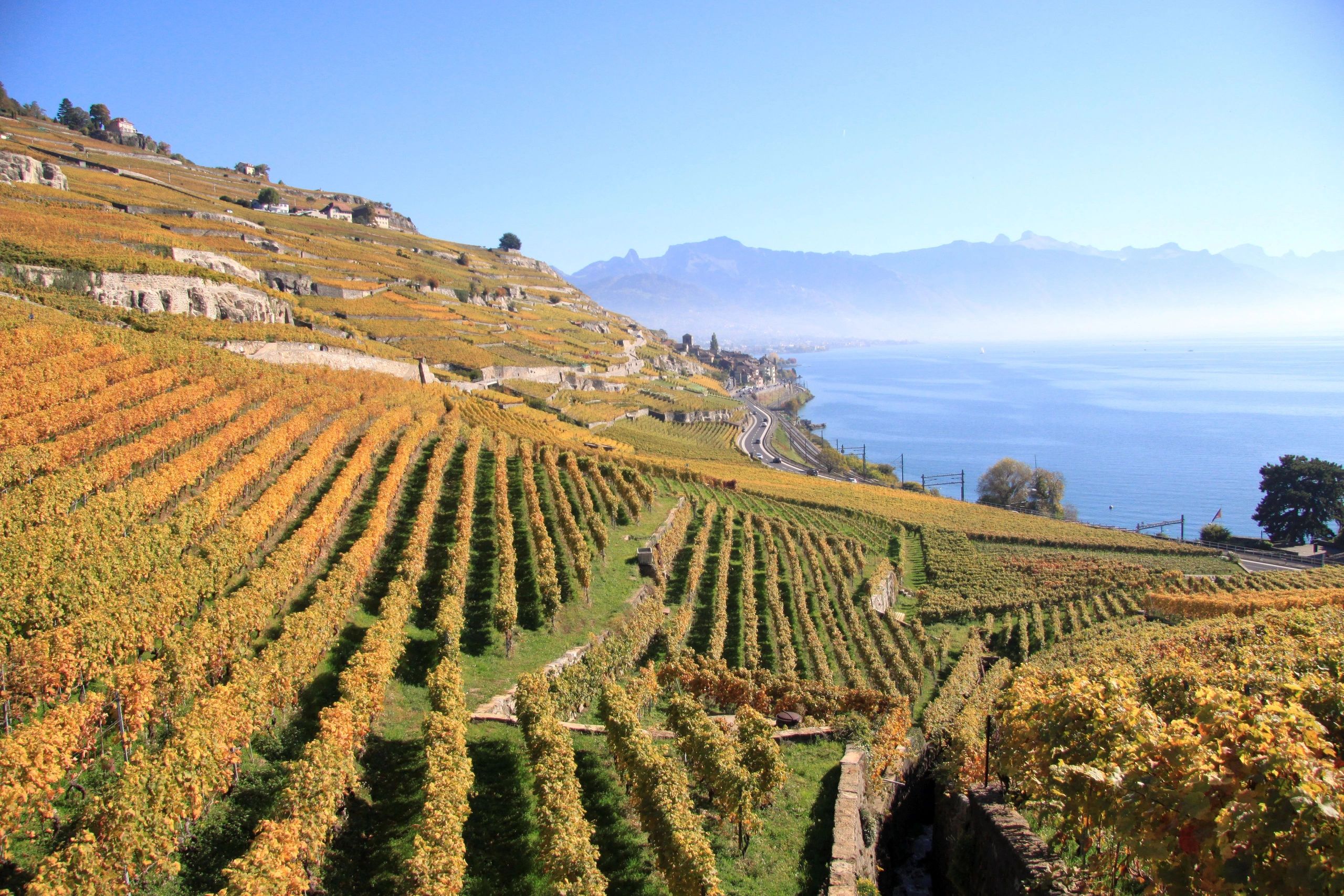 Chasing World Heritage - Inicio