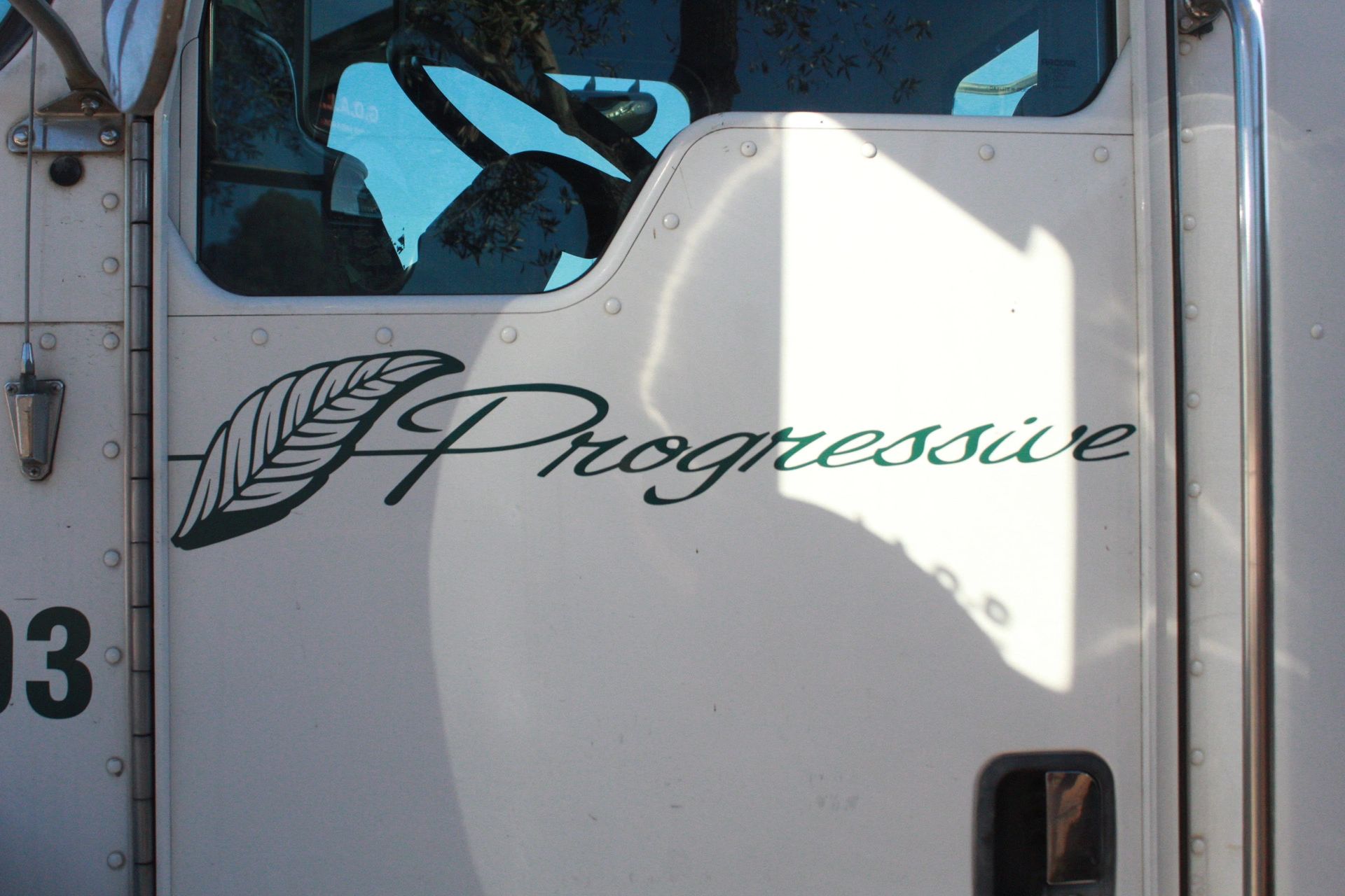 Progressive Tree and Landscape