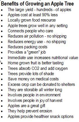 Apple Tree Benefits - Partial List
