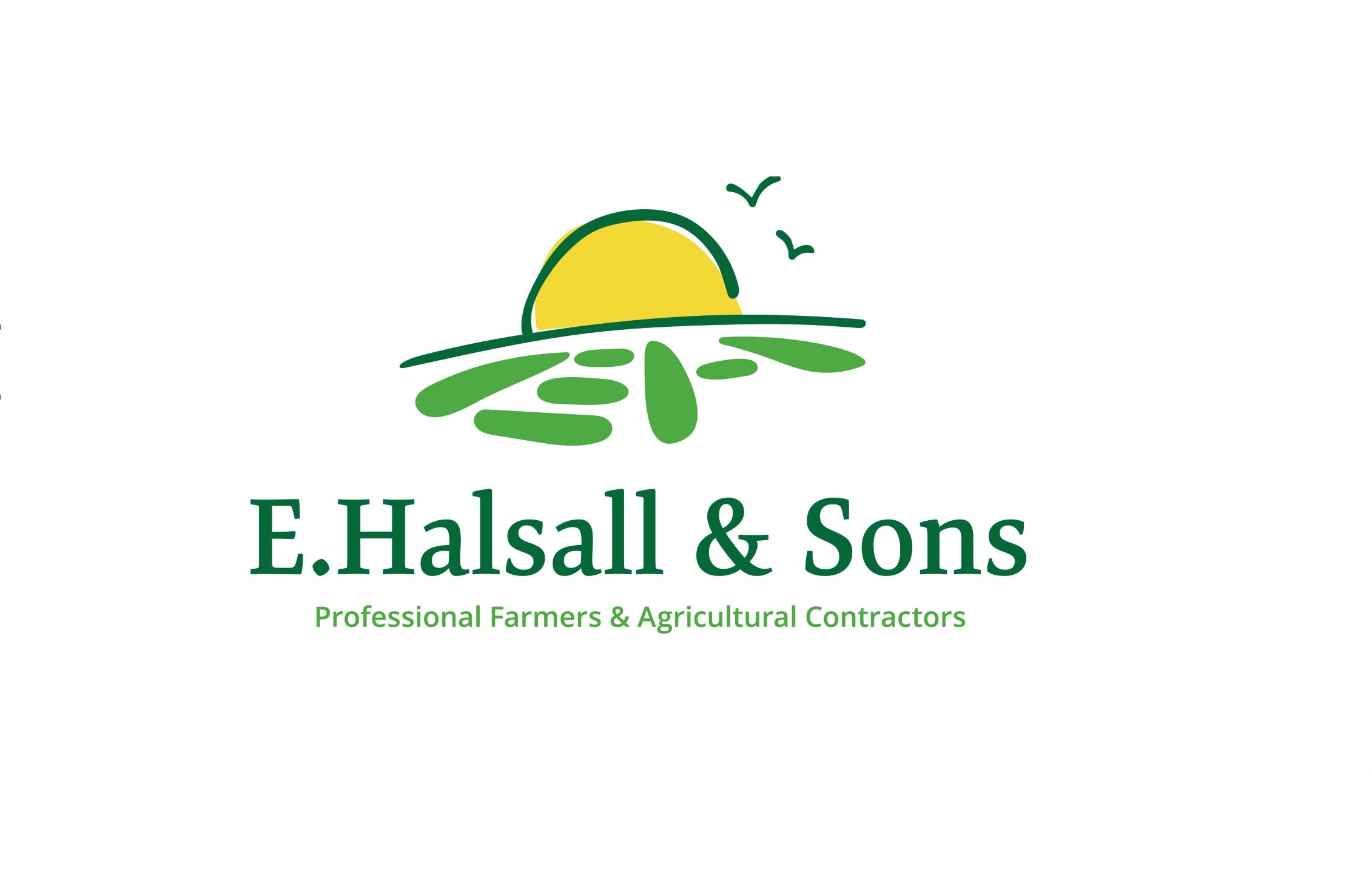 E Halsall & Sons LTD