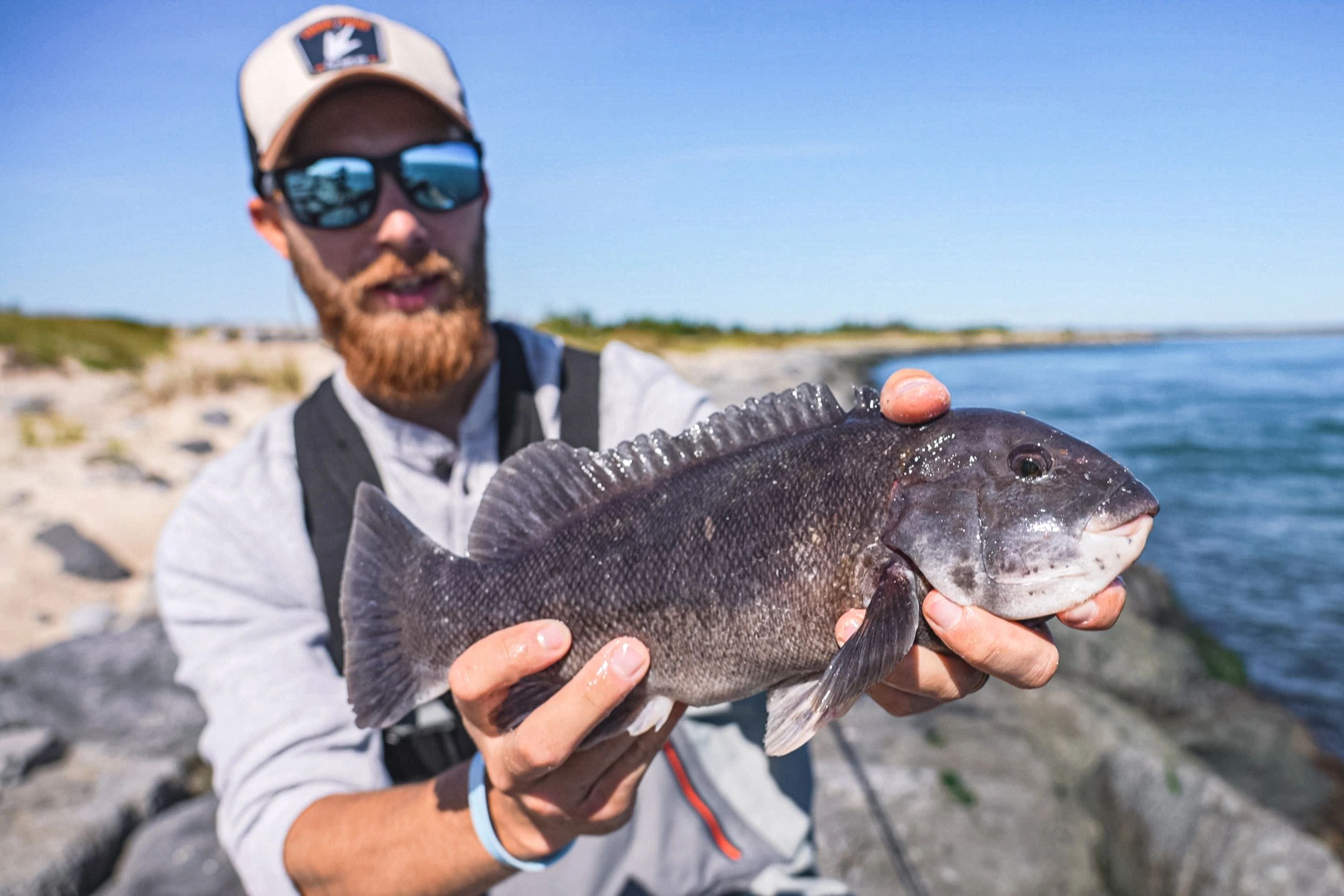 How to Catch Blackfish (Tautog) From Shore in Fall on Long Island